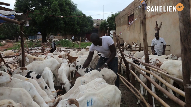 Mali: Tabaski, « la situation actuelle du marché nous fait peur ...