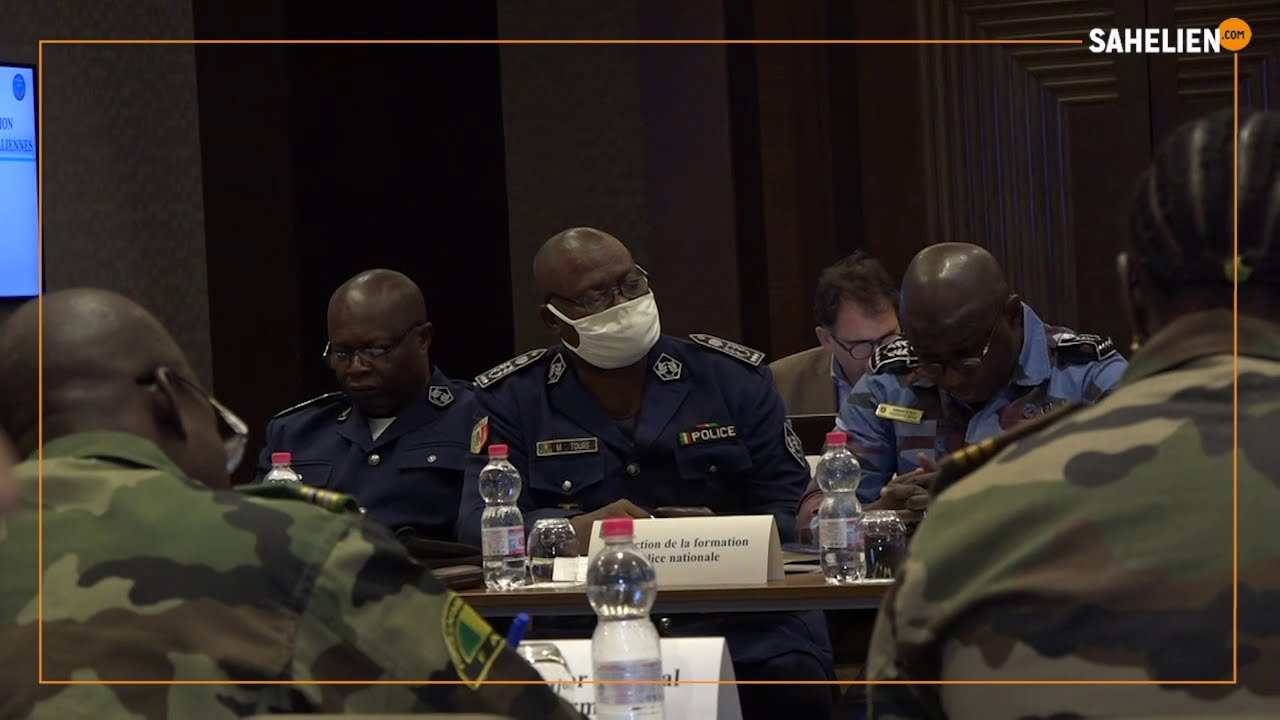 Forces armées maliennes : entre la lutte contre le terrorisme et le respect des droits humains ...