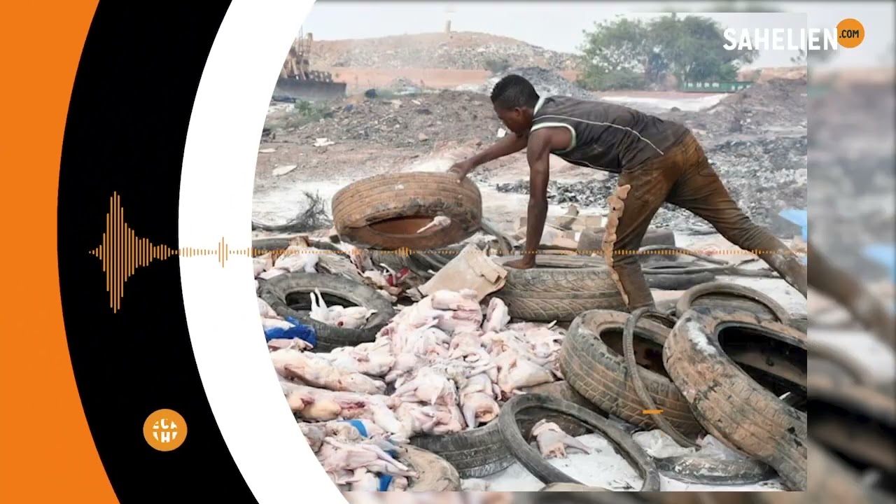 Le récap' Sahel de la première semaine de juillet 2023