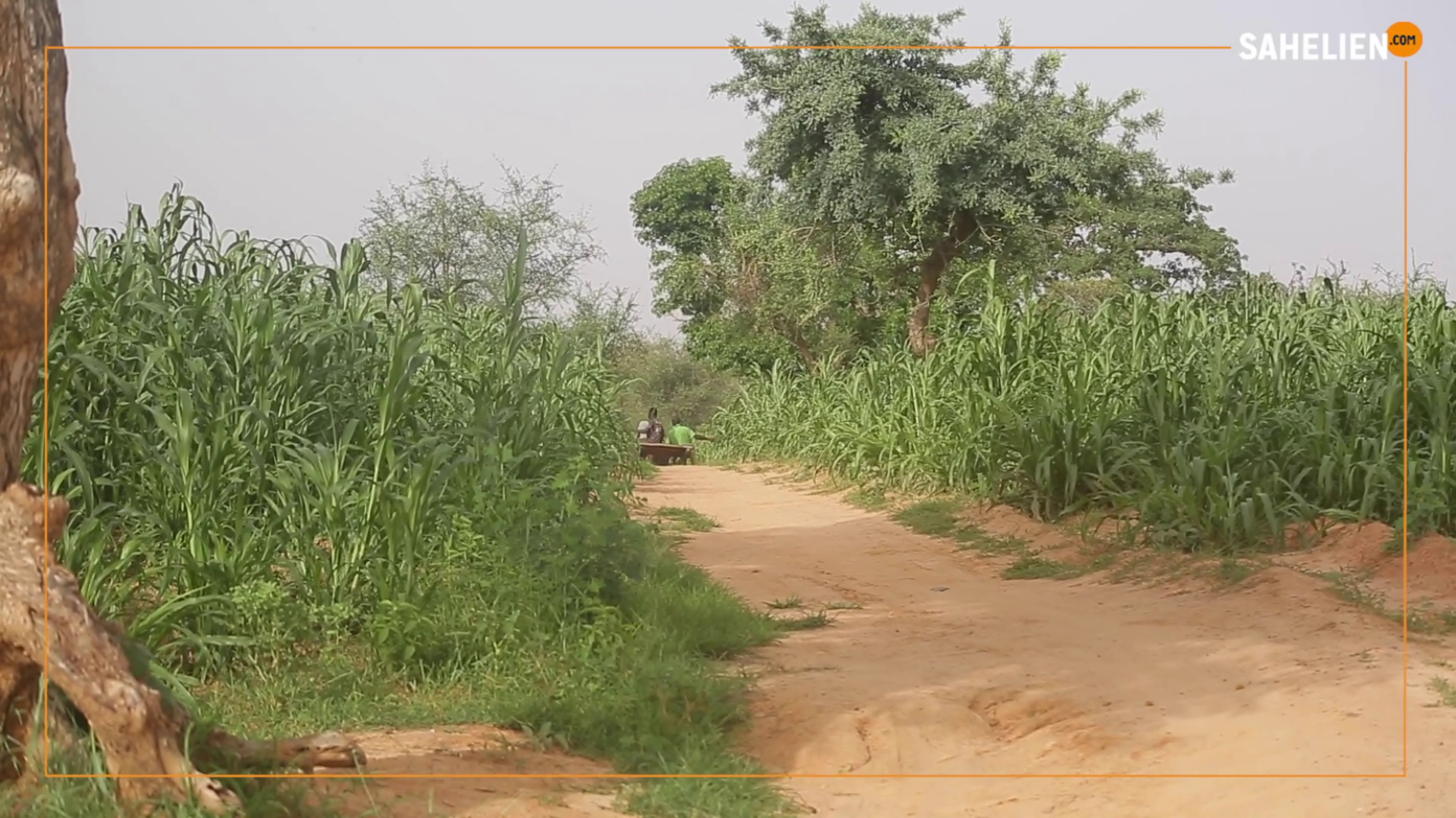 Centre du Mali : week-end meurtrier dans le cercle de Bankass