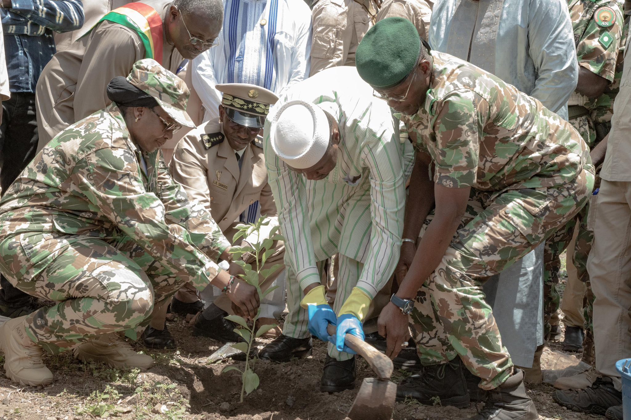 Mali : plus de 385 000 hectares à reboiser pour restaurer les terres ...